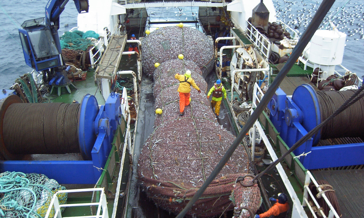 Bottom Trawls | cotesi marine